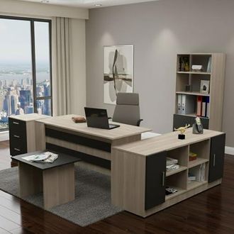 Dmora Styx B&uuml;ro-Set Braun, 5 Schubladen, 5 Regale