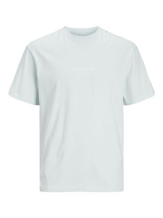 Jack & Jones JORVESTERBRO Tee SS Crew Neck NOOS
