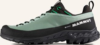 Mammut Mammut Zustiegsschuhe Alnasca Iv Low Gore-Tex grau