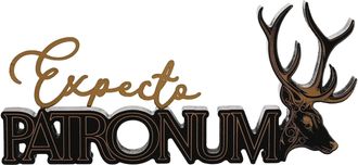 Widdop and Co Warner Bros Harry Potter Alumni Zauberschild Patronum