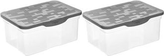 Rotho Ranger Aufbewahrungsbox 13l mit Deckel, Kunststoff (PP) BPA-frei, anthrazit, A4/13l (39,0 x 27,0 x 17,5 cm) (Packung mit 2)