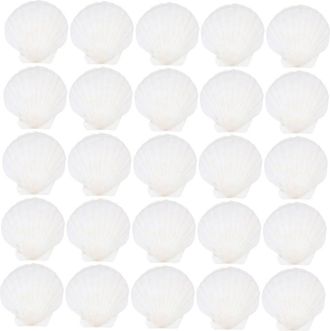 Aboofan 35stücke Teiliges Weißes Jakobsmuscheln Natürlich Für DIY Basteln Wanddekoration Küstendeko Party-Accessoires Und Aquarium Gestaltung
