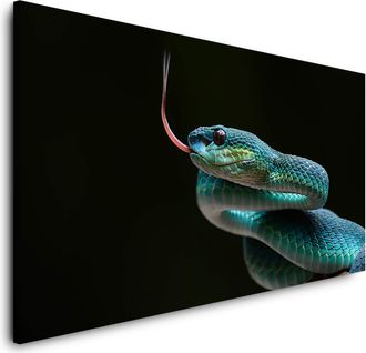 Paul Sinus Art Schlange 120x 60cm Panorama Leinwand Bild XXL Format Wandbilder Wohnzimmer Wohnung Deko Kunstdrucke