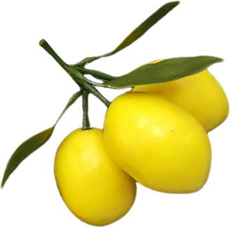 UPKOCH Hochdetaillierte K&uuml;nstliche Zitronen K&uuml;nstliche Zitronen F&uuml;r Tafelaufs&auml;tze Fotografie