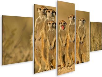 Islandburner Bild auf Leinwand Erdm&auml;nnchen Gruppe in der Savanne stehend und aufmerksam Bilder Wandbilder 170x80cm