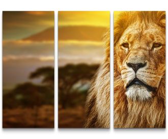 Paul Sinus Art Leinwandbilder | Bilder Leinwand 130x90cm Portrait eines L&ouml;wen mit Kilimanjaro
