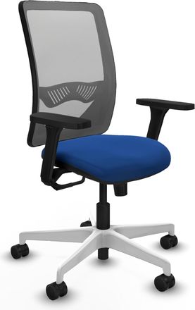 Piqueras y Crespo Zulema Arbeitsstuhl mit 3D-Armen, h&ouml;henverstellbare Lendenwirbelst&uuml;tze, ausgestattet mit Sincro 3 Positionen und Schneideschaum, Grau/Blau