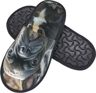 Generic Pantoufles Unisexes Chiots Bouledogue Français Chaussons DIntérieur Doux Antidérapantes Chaude Pantoufles, Pour Intérieur Extérieur, Fête, Mariage, L