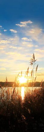 1art1 Seen Poster See Bei Sonnenaufgang Kunstdruck Bild 158x53 cm