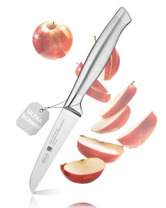 R&ouml;sle Gem&uuml;semesser Basic Line - 9 cm, hochwertiges K&uuml;chenmesser f&uuml;r Obst und Gem&uuml;se, Edelstahl 18/10, ergonomischer silberner Griff, scharfes Messer f&uuml;r die