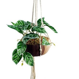 Leaf Design UK Realistische k&uuml;nstliche Laubpflanze mit Topf