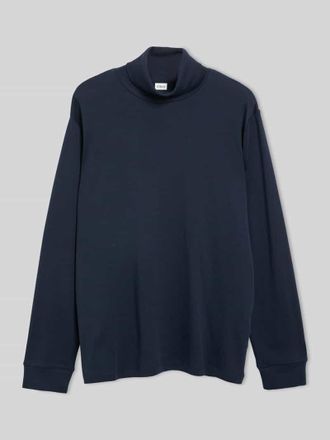 s.Oliver Red Label Langarmshirt mit Rollkragen Jersey