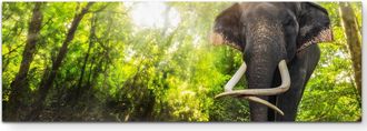 Paul Sinus Art Leinwandbilder | Bilder Leinwand 150x50cm Elefant an den Erawan Wasserf&auml;llen in Thailand