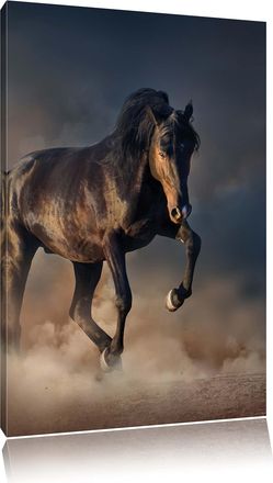 Pixxprint Schwarzes Pferd, Größe: 60x40cm, Leinwandbild, fertig gespannt, Wandbild, Dekoration, Kunstdruck, kein Poster