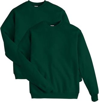 Hanes Mens EcoSmart Fleece Sweatshirt, Deep Forest, Medium (Pack of 2)