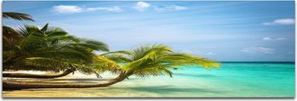 Paul Sinus Art Bilder Wand Bild - Kunstdruck 120x40cm Malediven Meer Strand Palmen Natur
