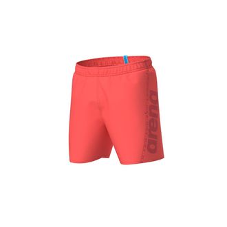 Arena Herren Fundamentals Logo R Boxer Beach Shorts