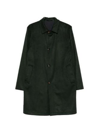Kired Kired | Peak - 50