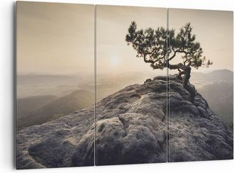 Arttor Mehrteilige Bilder auf Leinwand 165x110cm Leinwandbild Alt Kiefer Berge Groß XXL Wanddeko Bild Schlafzimmer Set 3 teilige Wandbilder Dekoration Wohnzi