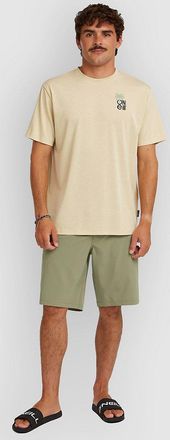 O'Neill ONeill Hybrid 19 Shorts avery fern