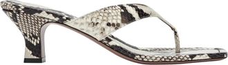 PARIS TEXAS Femme, Chaussures, Multicolore, Taille: 41 EU Portofino Mule 55