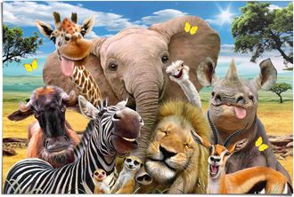 Reinders Poster, Wildlife Funnies, Kinderzimmer, Poster, Wanddeko, Room Decor, 150 gr. gl&auml;nzend Bilderdruckpapier, Mehrfarbig, 61 x 91,5