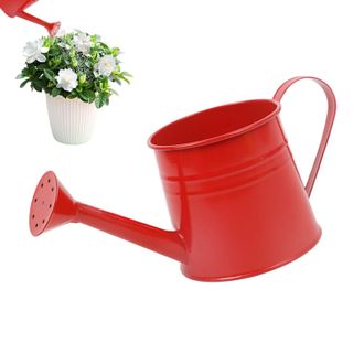 Generico 1 l Metalldose mit Langer D&uuml;se | kleine f&uuml;r Zimmerpflanzen | Dekorative und Pflanzgef&auml;&szlig;e aus Eimer, Bew&auml;sserung und Blumenanordnung