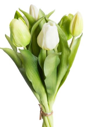 Botanic-Haus k&uuml;nstliches Tulpenb&uuml;ndel/k&uuml;nstlicher Tulpenbund Sandy mit 4 Tulpen und 3 Tulpenknospen Farbe: gr&uuml;n-Creme real Touch