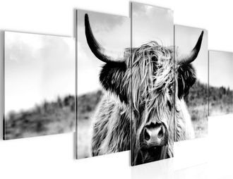 Runa Art Wandbilder Tiere 5 Teilig Bild auf Vlies Leinwand Deko Wohnzimmer Schlafzimmer Büro Schwarz Weiß Schottisches Hochlandrind 056652a