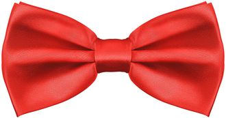 Balinco Edle Fliege für Herren in Seidenoptik mit Hakenverschluss 12,5x6,5 cm - Papillon vorgebunden & in der Länge verstellbar - Perfekt für Anzug, Smoking, 