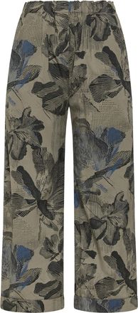 Deha Hose