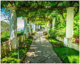 Wallario Poster - Bl&uuml;hende Pergola in Premiumqualit&auml;t, Gr&ouml;&szlig;e: 40 x 50 cm