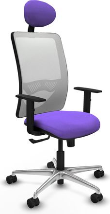 Piqueras y Crespo Armlehnenstuhl Zulema, h&ouml;henverstellbare Lendenwirbelst&uuml;tze und festes Kopfteil, ausgestattet mit 3 Positionen und Schneideschaum, mit 65 mm Nylon-Rol