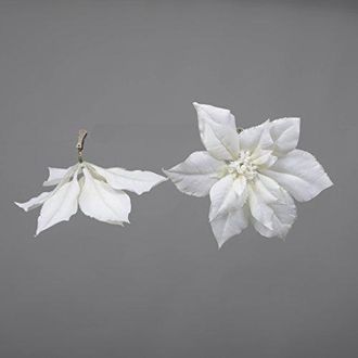 Dino Bianchi Weißen Dino xk080 _ 02 Stern Weihnachten mit Clip, PVC, Cream, 20 x 5 x 20 cm, 1 Stück