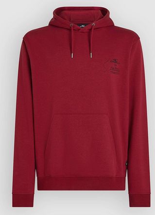 O'Neill Must-Have Hoodie tamarillo