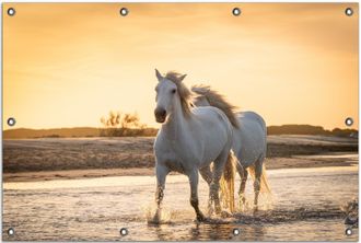 Wallario Outdoor-Poster f&uuml;r Garten oder Balkon Pferde im Abendlicht, Motivbanner Gr&ouml;&szlig;e: ca. 80 x 120 cm, Outdoor-Bild