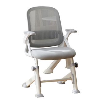 Generic Hochlehner-Schreibtischstuhl,ergonomischer B&uuml;rostuhl,moderner Computer-Gaming-Stuhl Verstellbarer Lendenwirbelst&uuml;tze,klappbare Armlehnen,Schreibtisch 