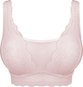 SugarShape BH Elva