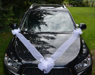 APM Autoschmuck Autodeko Hochzeit Dekor Verschiedene Variante Komplett (Basis, Basis)