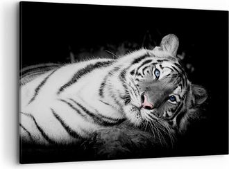 Arttor Wandbilder Dekoration Wohnzimmer Weiß Tiger Schwarz und Weiß Bilder auf Leinwand 120x80cm Leinwandbild Schlafzimmer Deko Wand Kunstdruck Art Groß XXL 