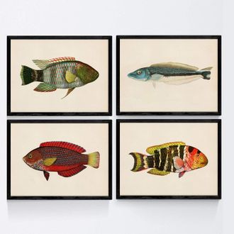 Nacnic Bunte Fische Plakate 4-er Set. Vintage Stil Rot, Grün und Blau Fische Posters mit Altpapier Hintergrund. Größe A4, ohne Rahmen