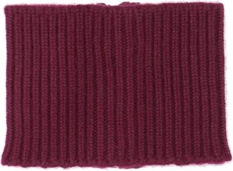 SA SU PHI Collar Scarf