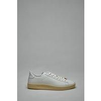 Valentino Royco Trainer