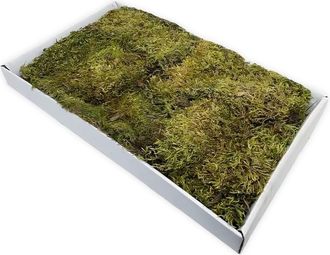 Moranduzzo Moosteppich Natur 44x32 cm - Handarbeit Made in Italy - Zubeh&ouml;r und Materialien f&uuml;r traditionelle Krippenlandschaften