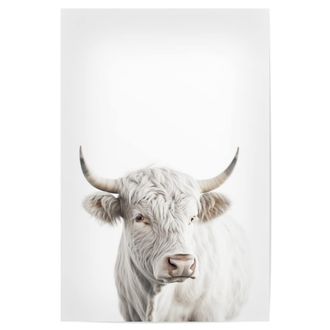 artboxONE Poster 75x50 cm Tiere Portrait Rind Stier hochwertiger Design Kunstdruck - Bild rind Kuh Minimalist