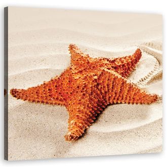 Feeby Vlies Leinwandbild Seestern Meeres-Thema Sand 30x30 cm Wand Bild Kunstdruck Deko Wohnzimmer Wohnungs Deko Strand Urlaub Beige