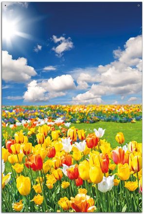 Wallario Outdoor-Poster für Garten oder Balkon Tulpenwiese unter blauem Himmel, Motivbanner Größe: ca. 60 x 90 cm, Outdoor-Bild