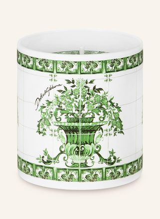 Dolce & Gabbana Dolce & Gabbana Casa Duftkerze gruen