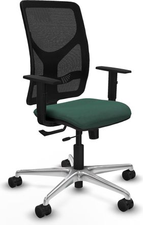 Piqueras y Crespo Schreibtischstuhl, wassergr&uuml;n, mit 1D-Armlehnen, h&ouml;henverstellbare Lendenwirbelst&uuml;tze, ausgestattet mit Syncro/Traslack und Schneideschaum, mit Rollen