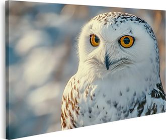 Islandburner Bild auf Leinwand Schnee Eule mit leuchtenden gelben Augen Bilder Wandbilder Poster